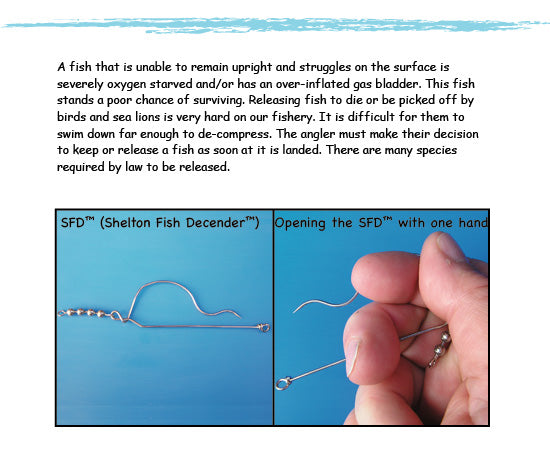 Shelton Fish Release/Descender – Pacific Edge Tackle
