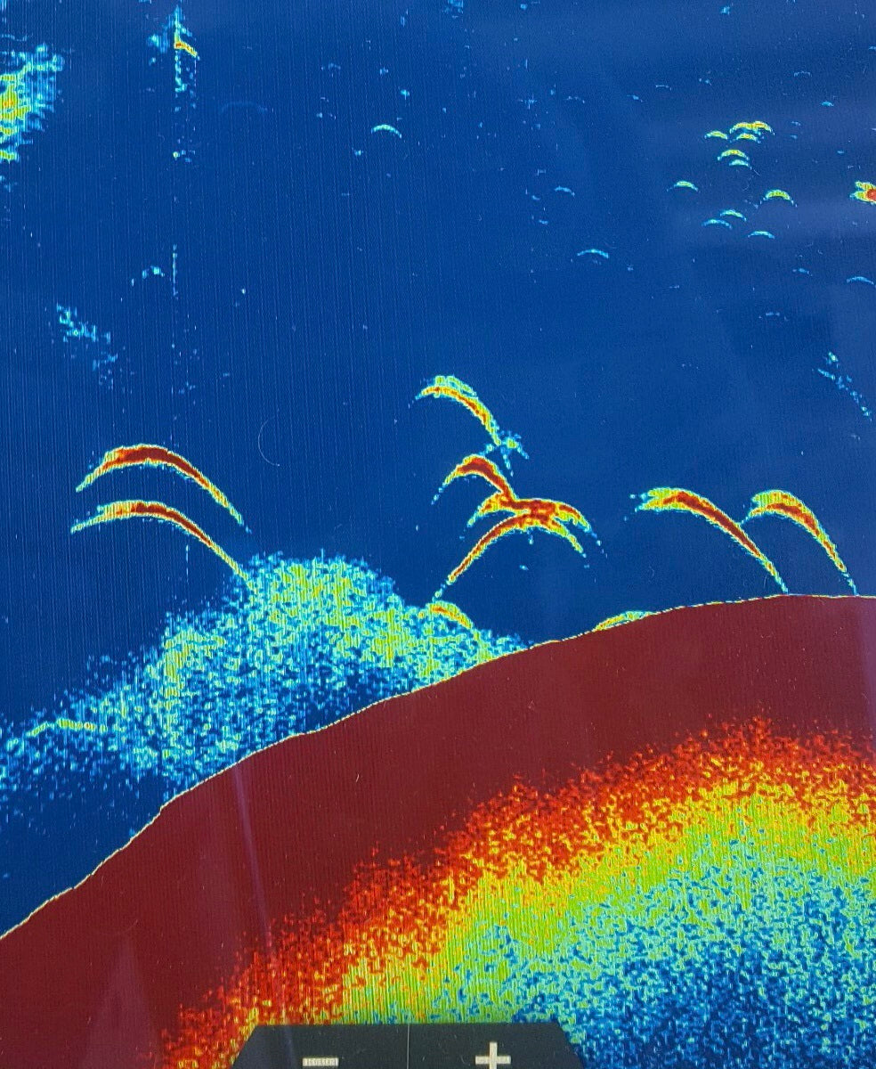 How to Read Your Color Sounder-Digital Download – Pacific Edge Tackle